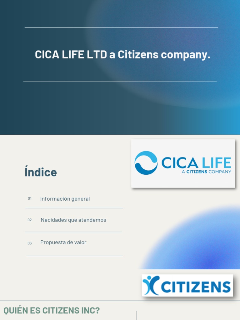 CICA Valor | PDF | Business | Economias