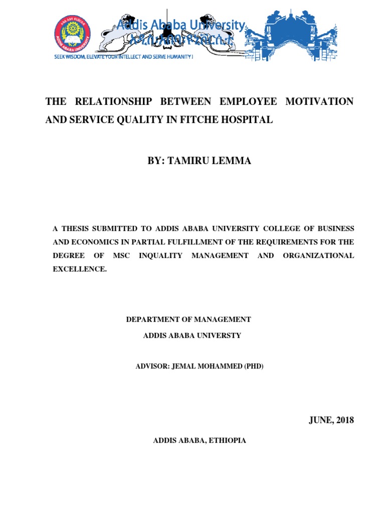 Tamiru Lemma | PDF | Motivation | Motivational