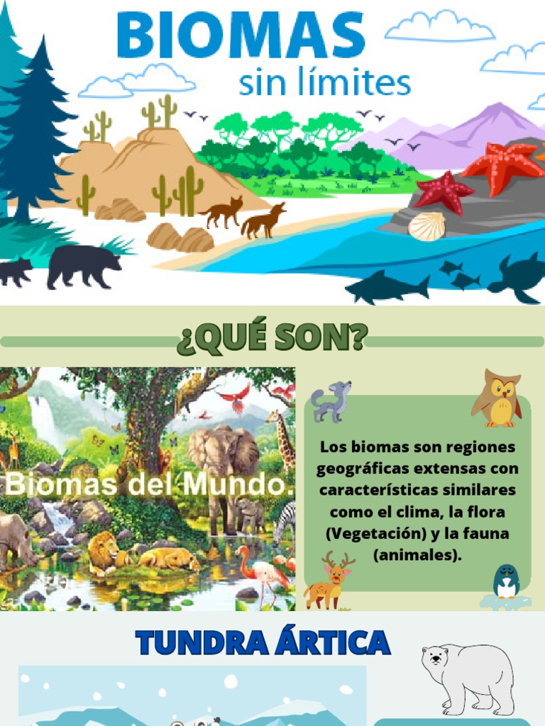Los Biomas Son Regiones Geográficas Extensas Con Características ...
