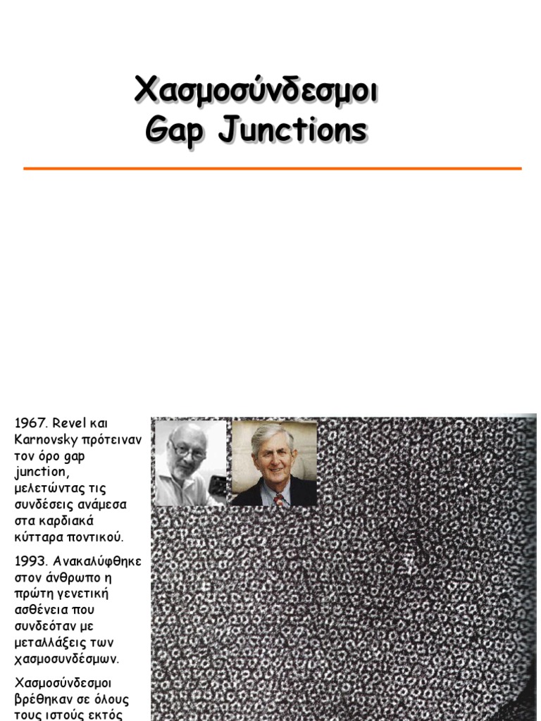 2-GAP Junctions | PDF