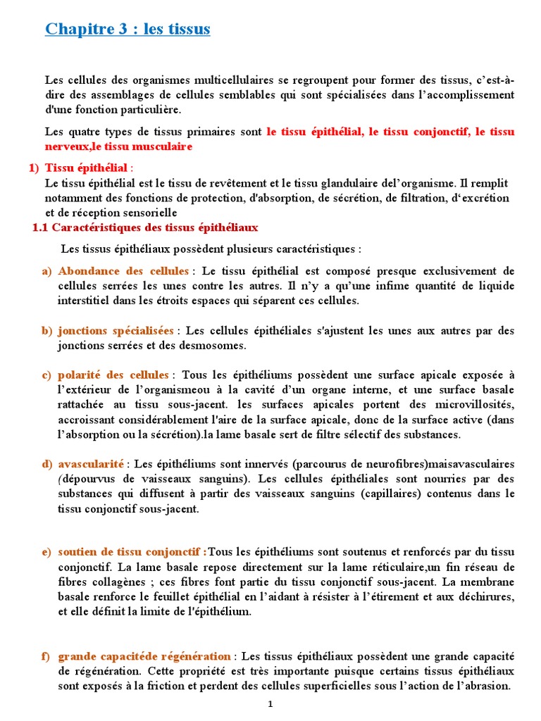 Types de tissus du corps humain | PDF