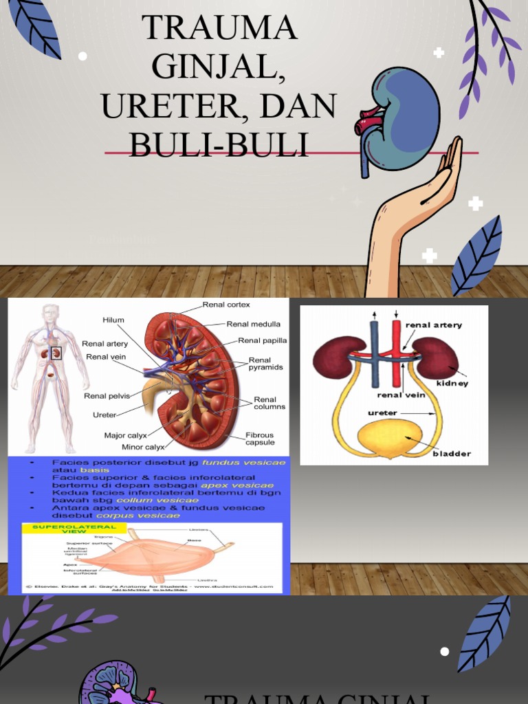 Trauma Ginjal Dan Buli Buli | PDF