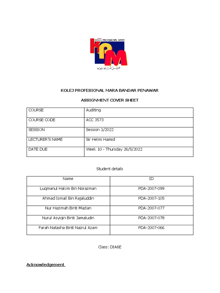 Assignment Audit | PDF | Audit | Internal Control