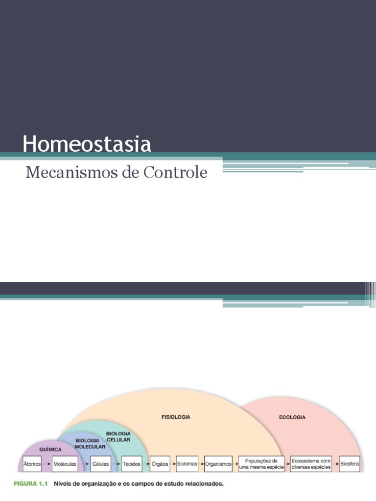 01 - Homeostase e Feedback | PDF | Homeostase | Comentários