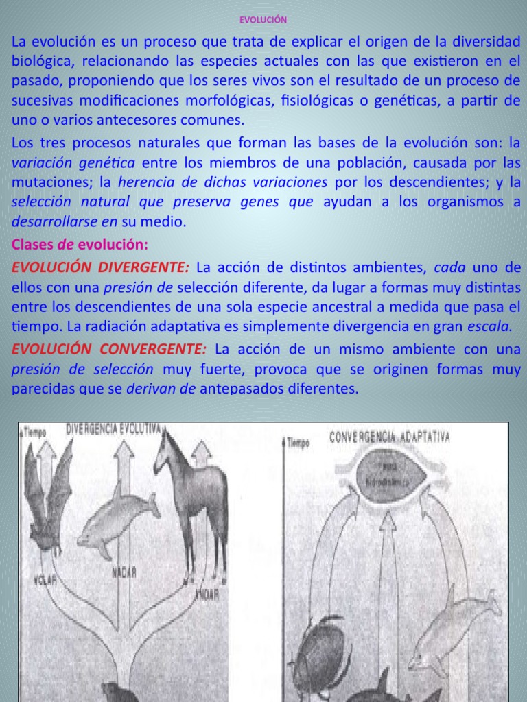 Teorías y Procesos de Evolución Biológica | PDF | Evolución | Seleccion ...
