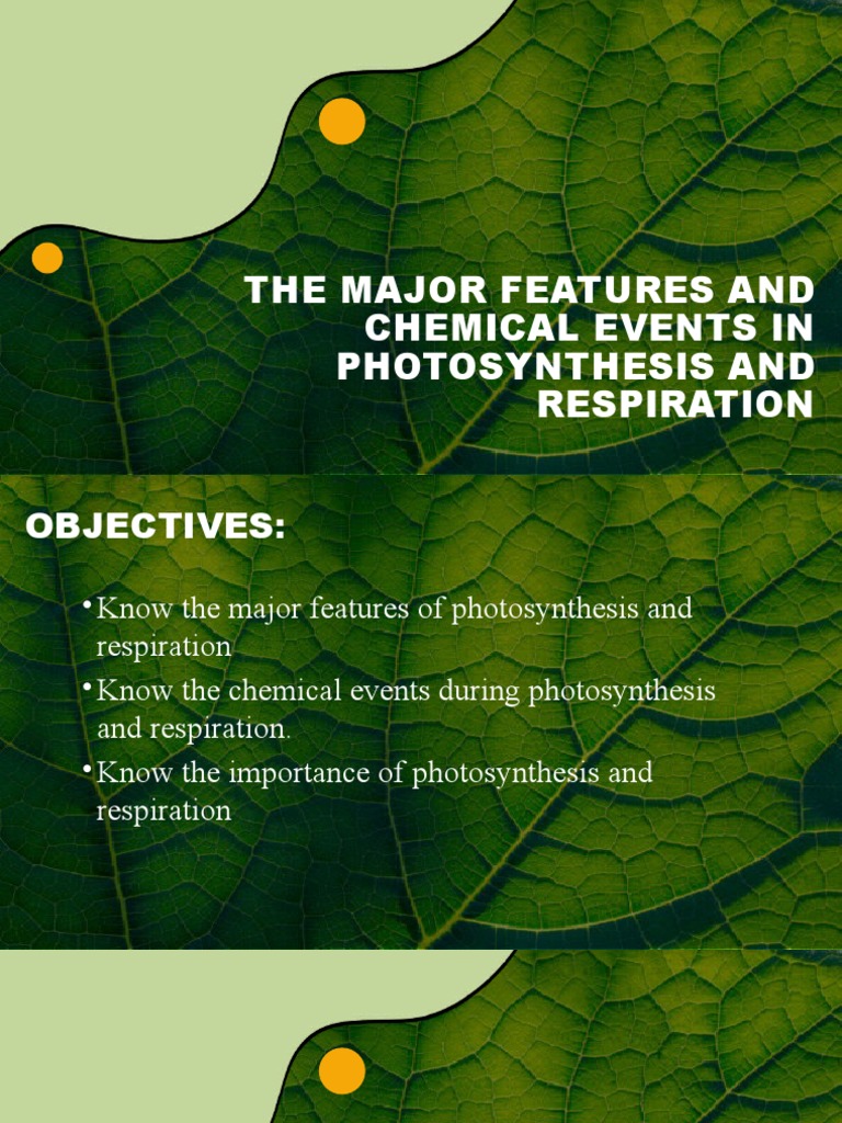 Major Features and Chemical Events | PDF