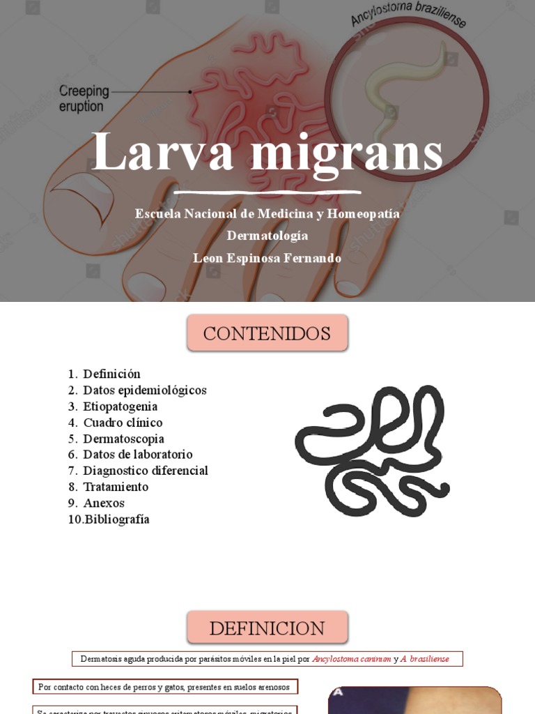 Ivermectina para Miasis en Gatos | PDF