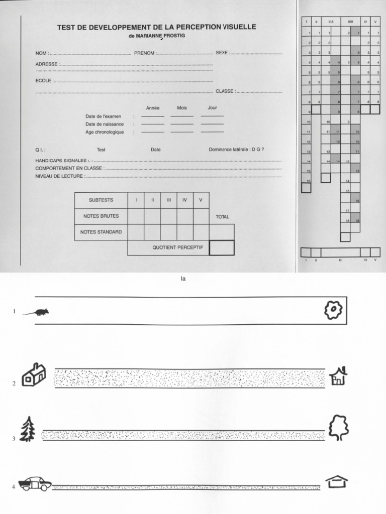 Test de Perception Visuelle Frostig | PDF