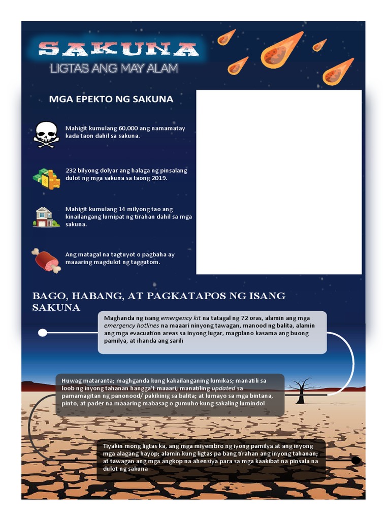 Disaster Infographics | PDF