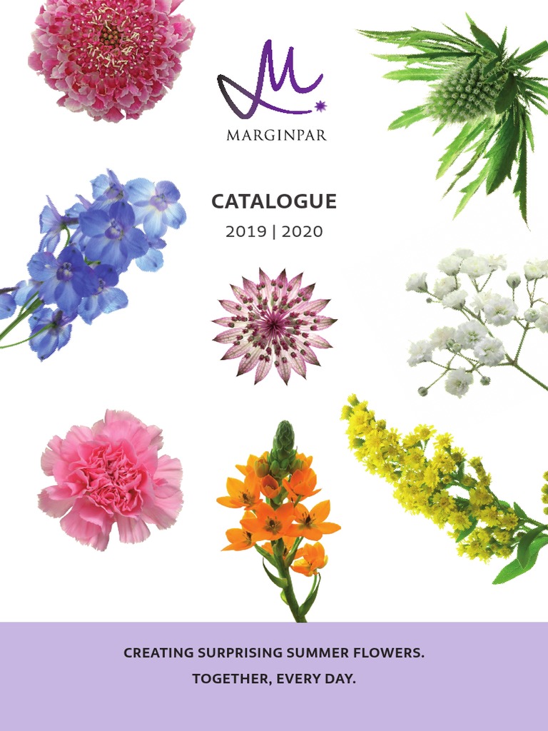 Marginpar Catalogue | PDF | Flowers | Plants