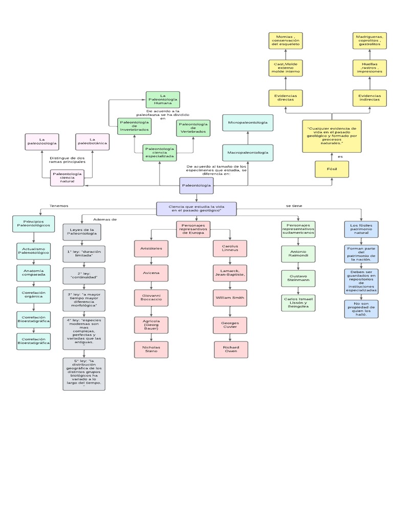 Mapa Conceptual | PDF