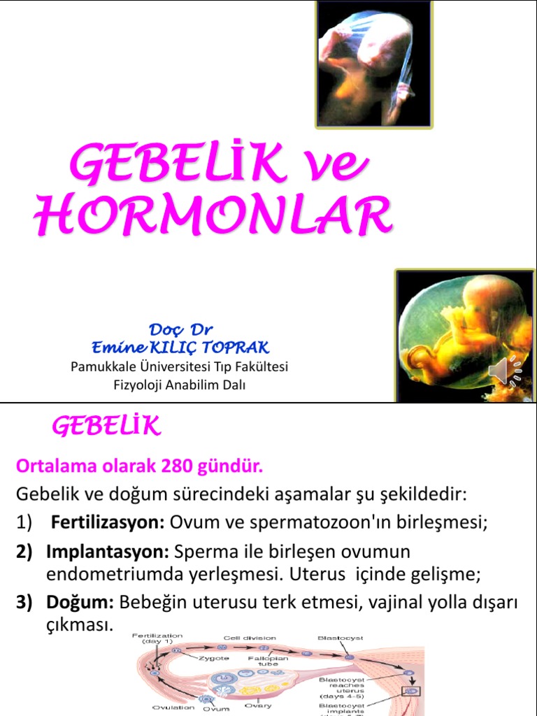 Gebelik Ve Hormonlar | PDF