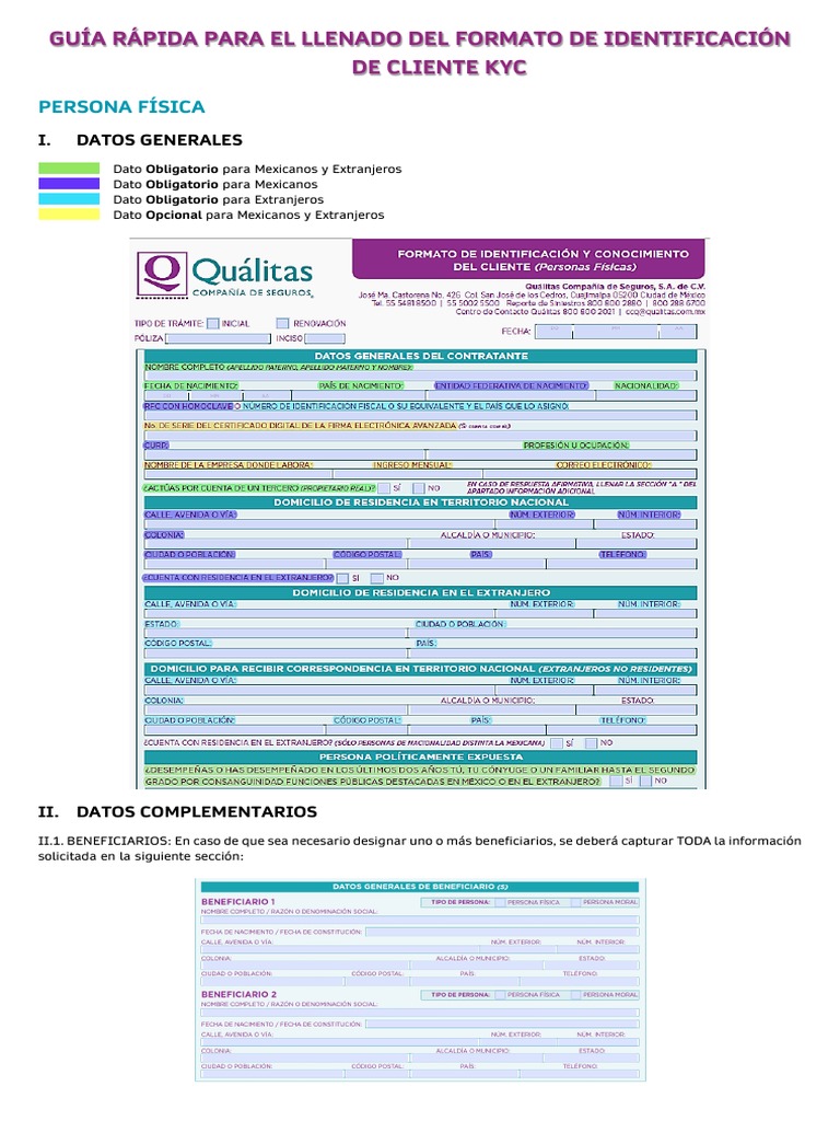 Guia Llenado Kyc | PDF | Ley de fideicomiso | Economias