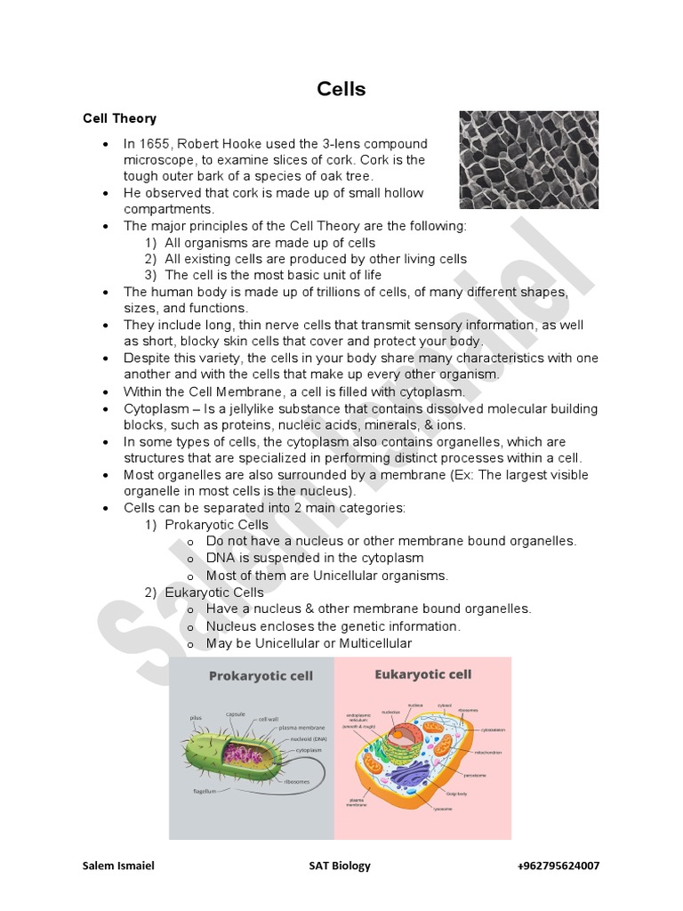 Chapter 3 (Unit 2) | PDF