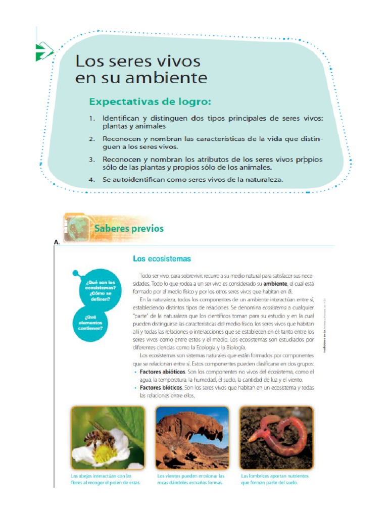 Seres Vivos y su Ambiente: Actividades Educativas | PDF | Plantas | Agua