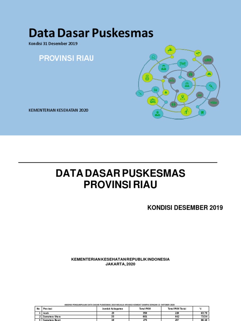 4.buku Data Dasar Puskesmas Provinsi Riau | PDF