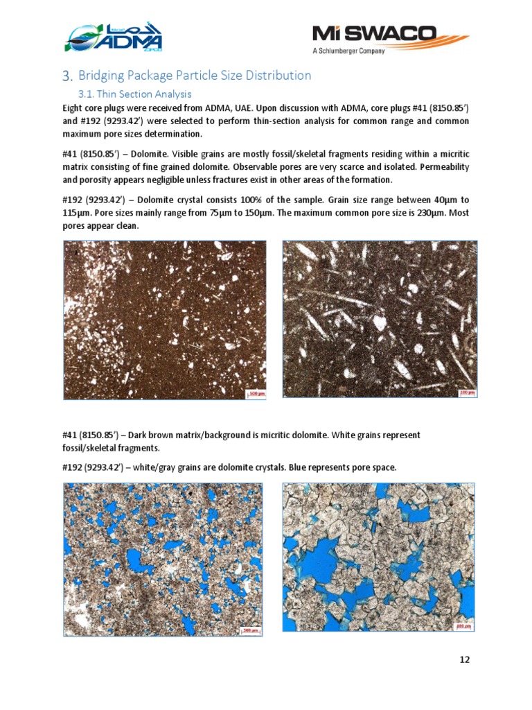 Bridging Package Particle Size Distribution (TH V + ARAB B) | PDF | Porosity | Particle Size ...
