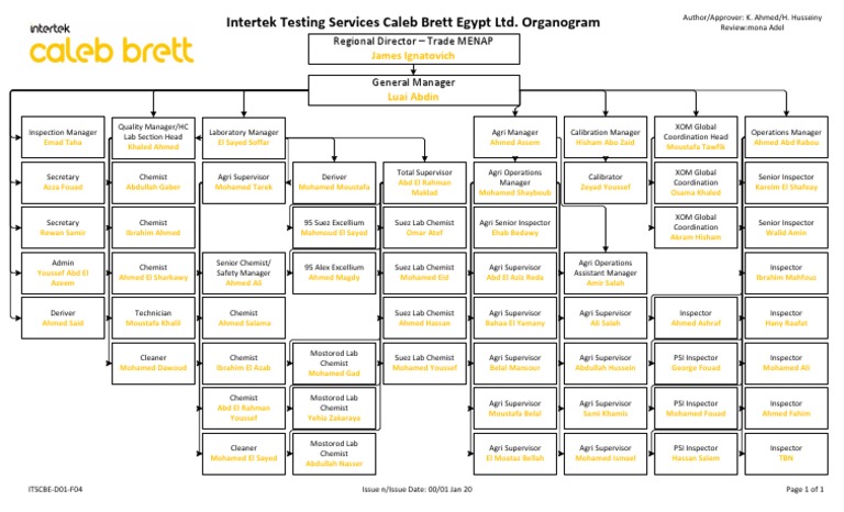 Org Chart | PDF