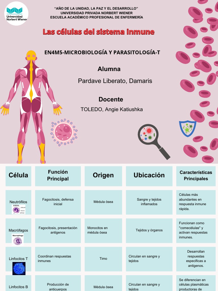 Un Cuadro Comparativo Sobre Las Células Del Sistema Inmune | PDF