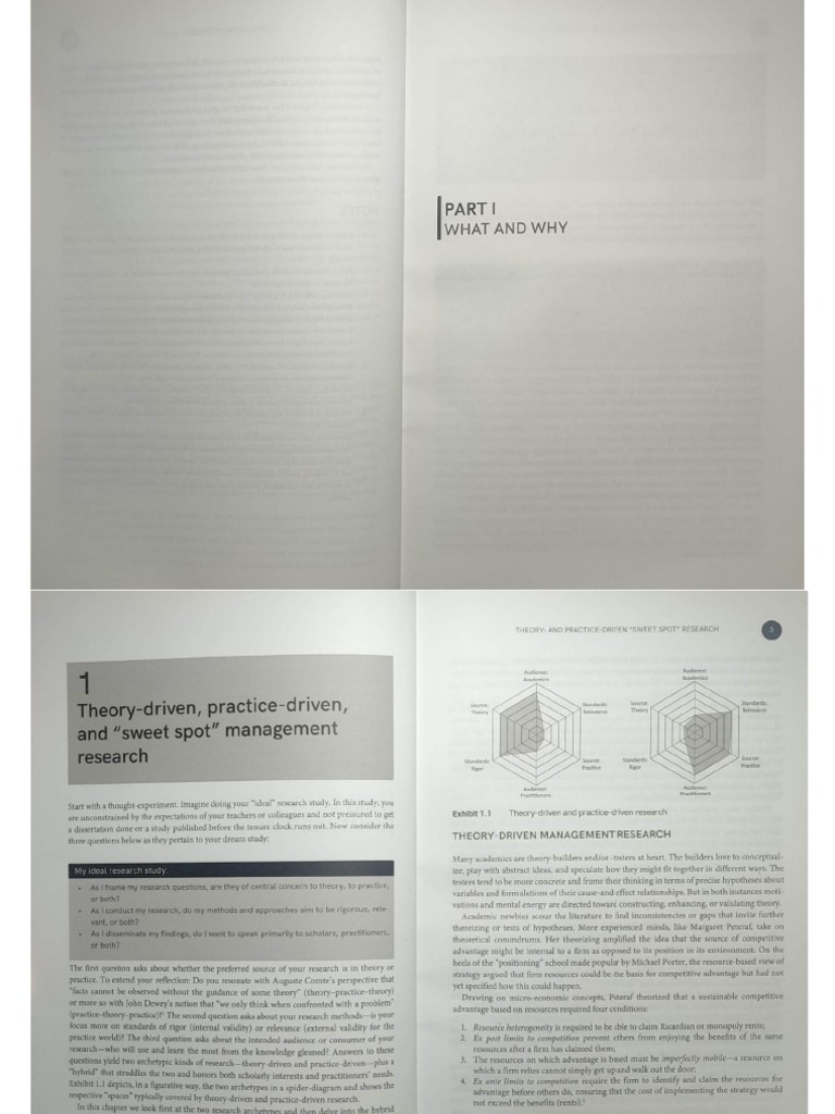 Mirvis Et Al. (Pp. 2-20) Lectura 22 - 02 | PDF