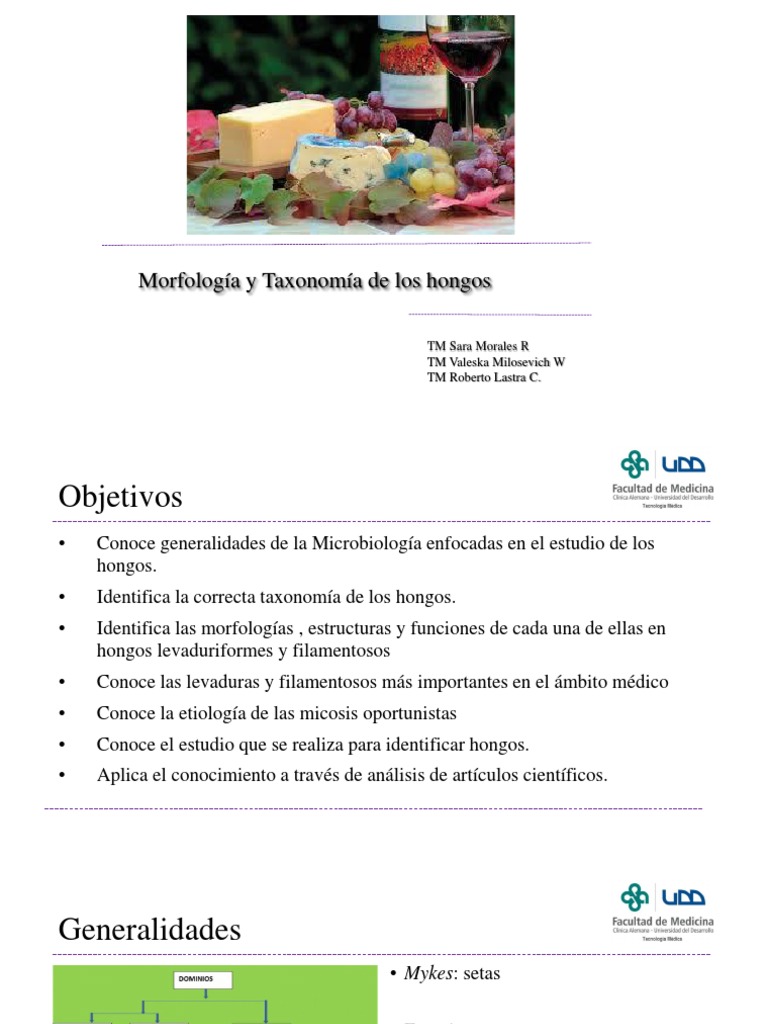 Clase 3 - Taxonomía y Morfología de Los Hongos | PDF Clase 3 - Taxonomía y Morfología de Los Hongos | PDF