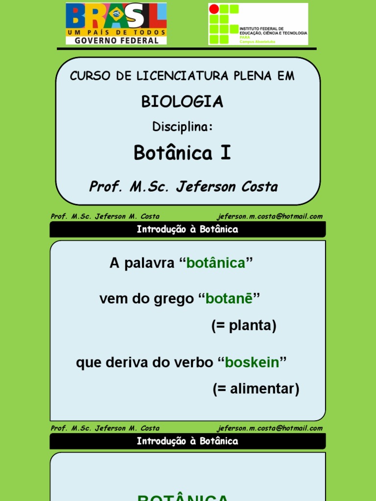 Importância das Plantas na Cultura Maranhense | PDF | Botânica ...