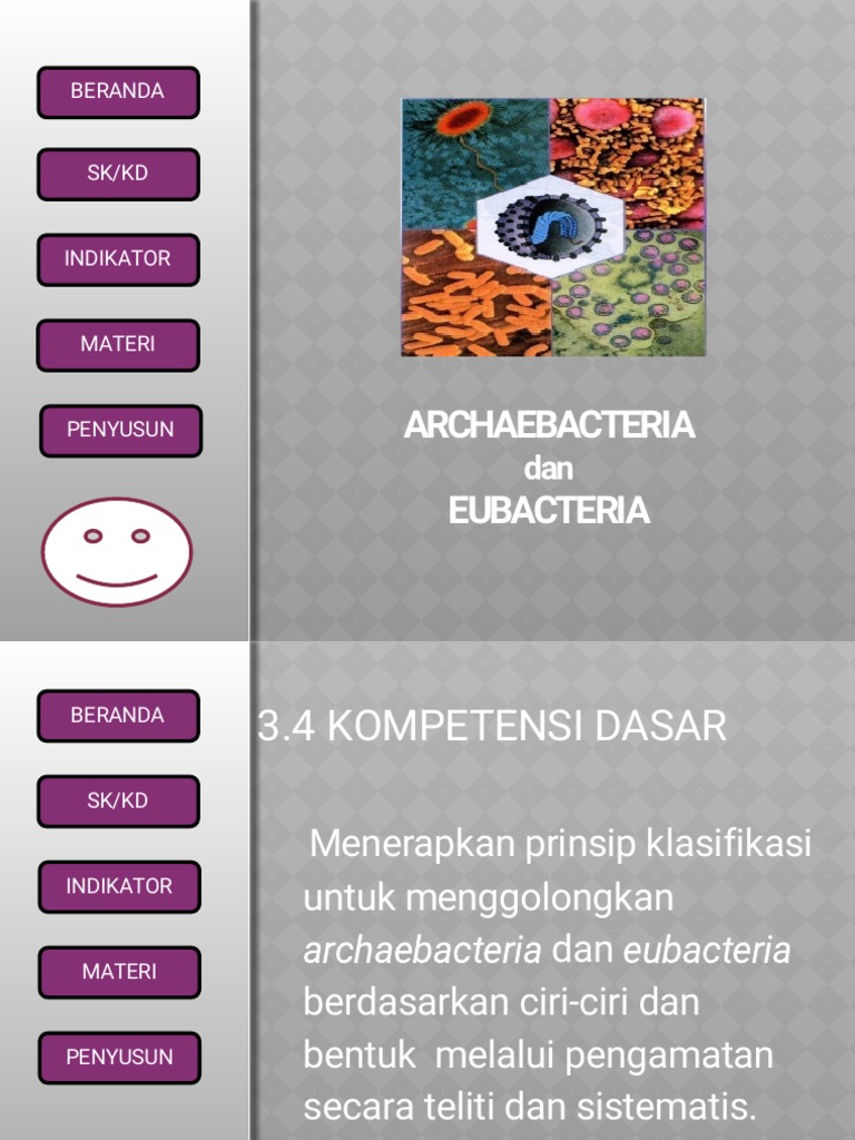 Bakteri Eubacteria and Archaebacteria | PDF