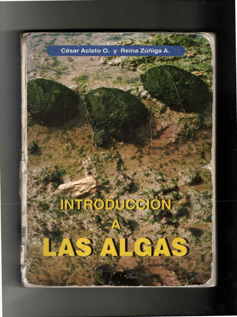 Introducción a Las Algas - Acleto y Zúñiga Arreglado | PDF | Nucleo celular | Algas