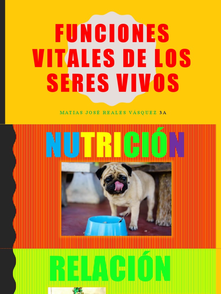 Funciones Vitales de los Seres Vivos | PDF