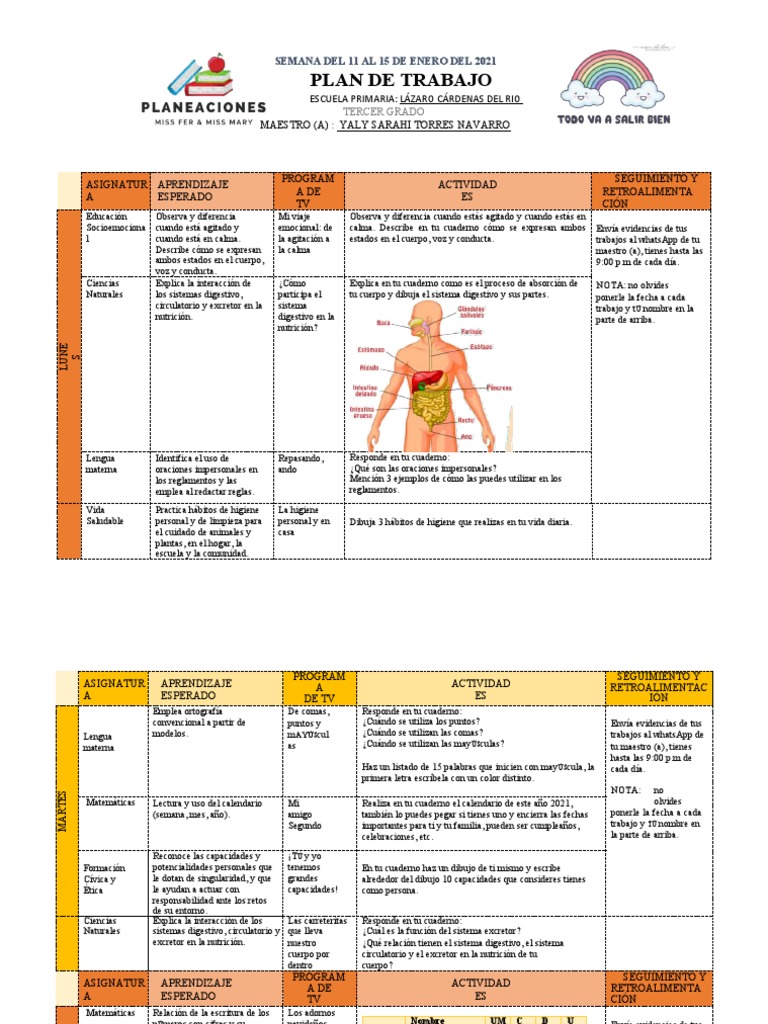 Tercer Grado Semana 18 Pdf Higiene