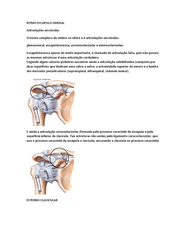 Ritmo Escapulo Umeral | PDF | Sistema Locomotor | Anatomia humana
