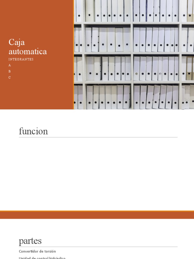 FORMATO Caja Automatica | PDF