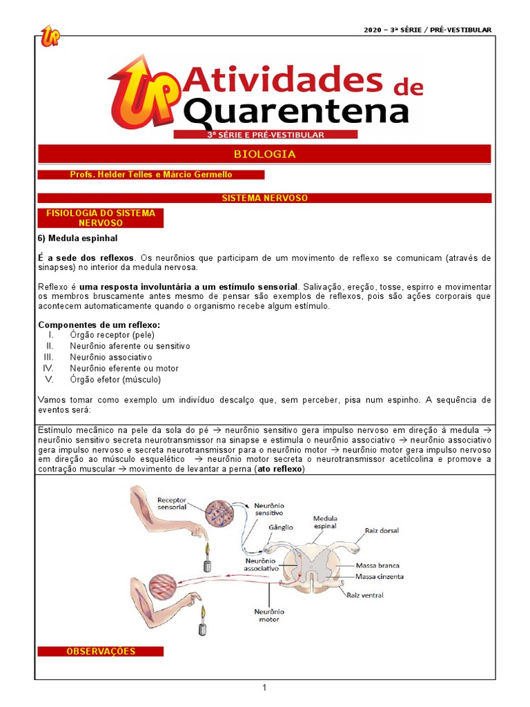 80f6473e-ab3d-d87e-70d9-20c57365de35 | PDF