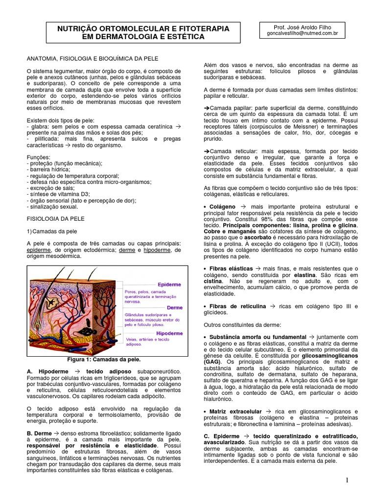 Apostila NutriÃ Ã o Ortomolecular e Fitoterapia em Dermatologia e ...