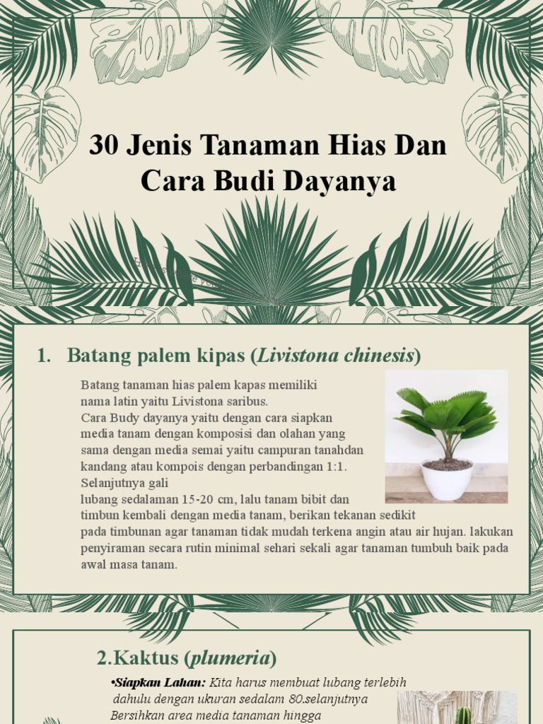 30 Jenis Tanaman Hias | PDF