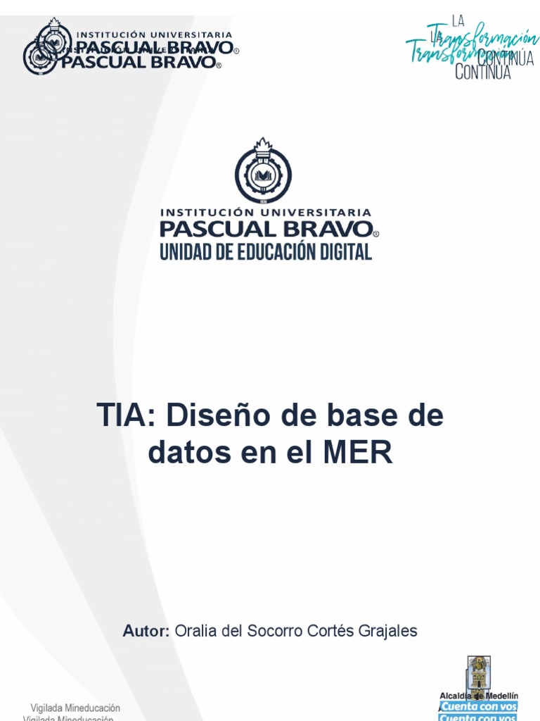 TIA Diseno de Una Base de Datos en El MER | PDF | Bases de datos | Modelo relacional