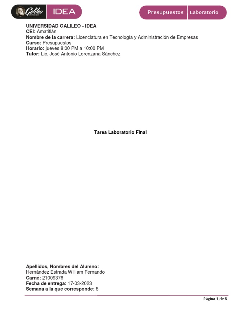 Laboratorio Final | PDF | Presupuesto | Inventario