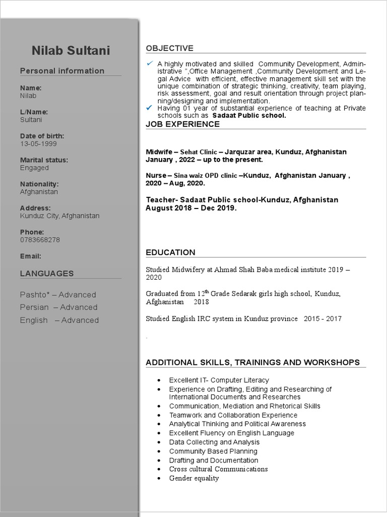 Nilab Sultani: Profile Overview | PDF