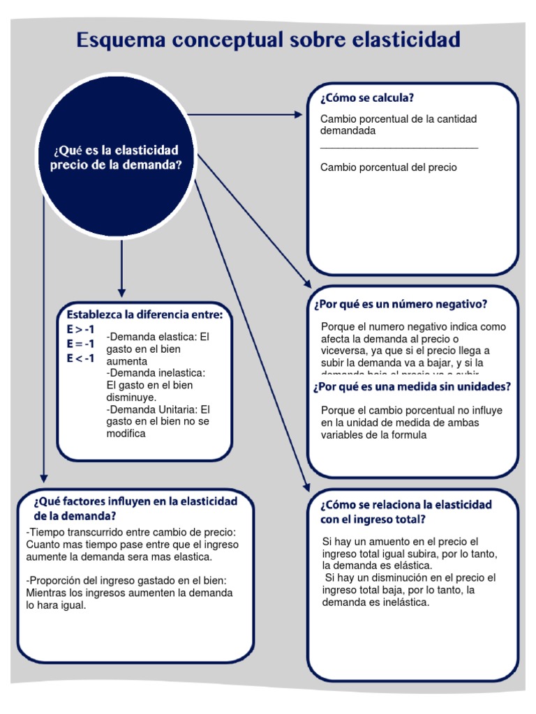 Esquema Conceptual Sobre Elasticidad | PDF