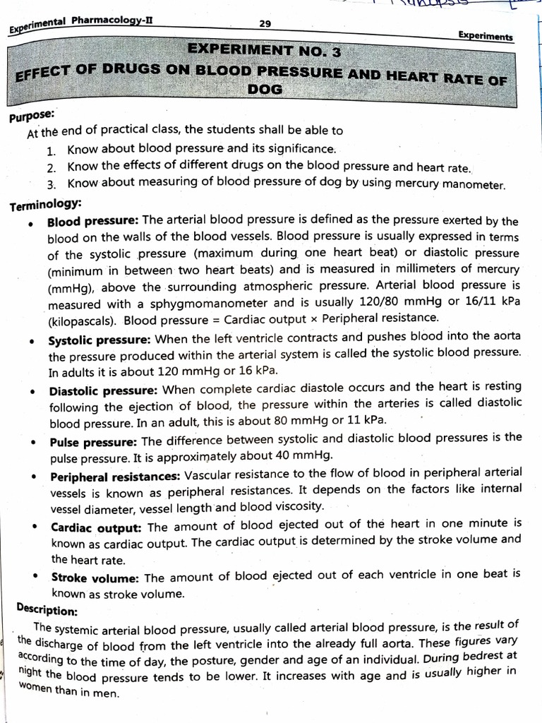 Ex - Drugs On BP and Heart Rate of Dog | PDF | Blood Pressure | Heart