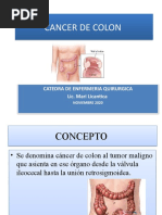 Contextura Corporal | PDF