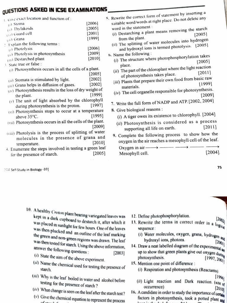 Icse/Cbse class 10 photosynthesis | PDF | Photosynthesis | Chloroplast