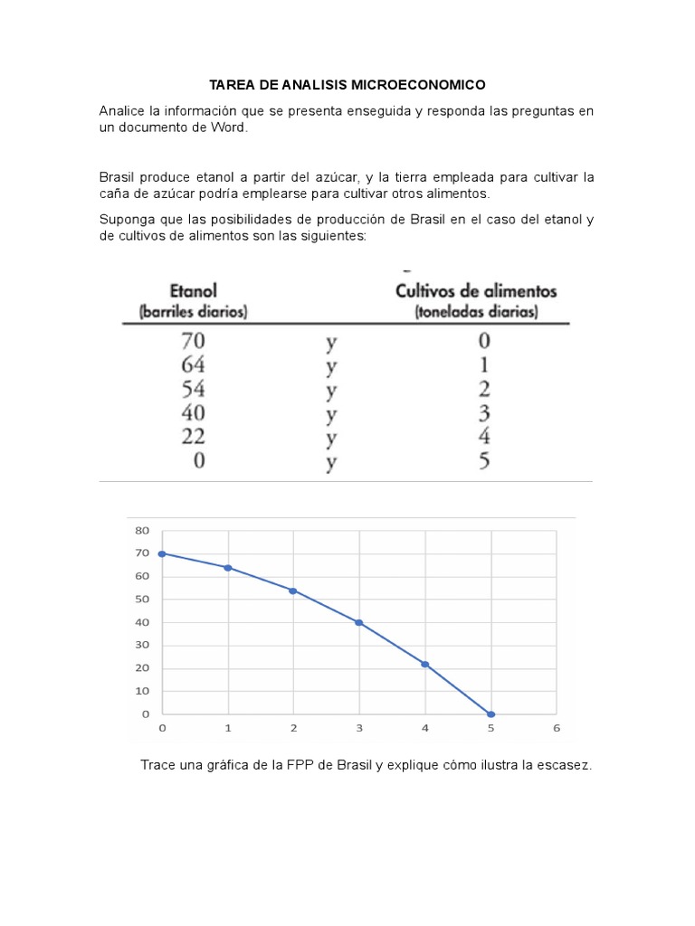 Tarea de Analisis Microeconomico | PDF | Technology & Engineering