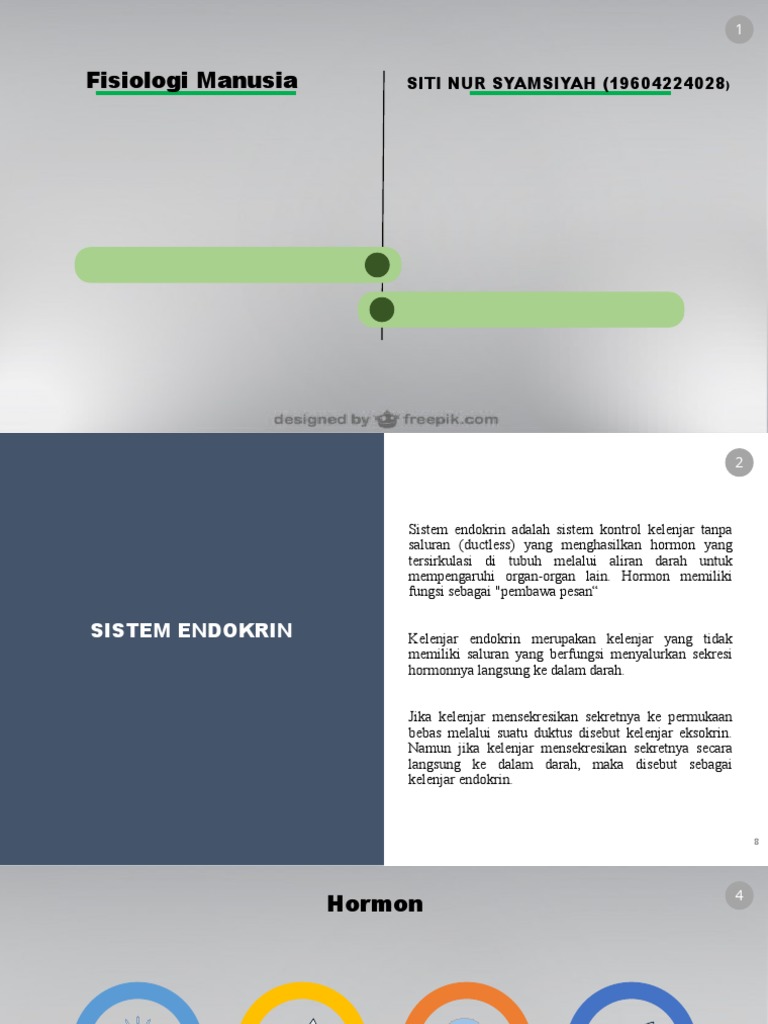 Sistem Endokrin | PDF