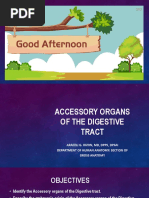 Constipation CHEO Handout | PDF | Constipation | Human Feces