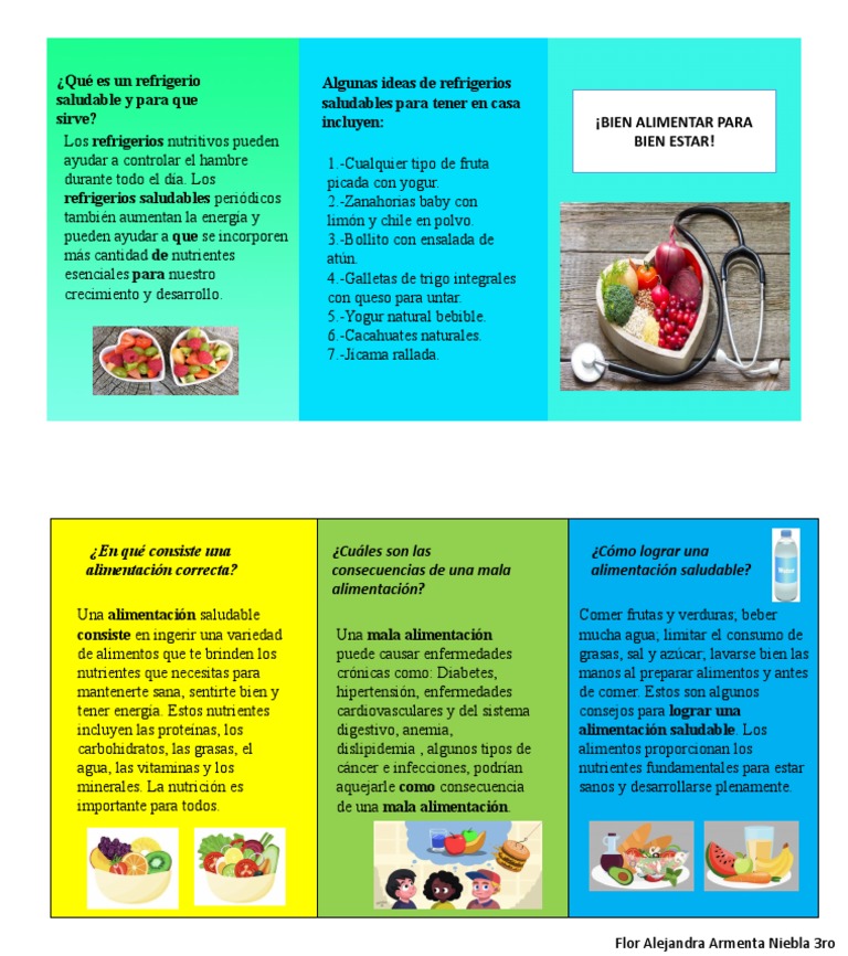 Triptico Vida Saludable | PDF