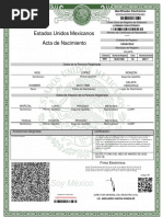 Acta de Nacimiento (Editable - en Blanco) ... | PDF | Gobierno | Comunicación escrita