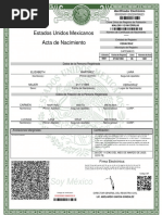 Acta de Nacimiento Editable | PDF | Documento | Derecho Civil (Common Law)