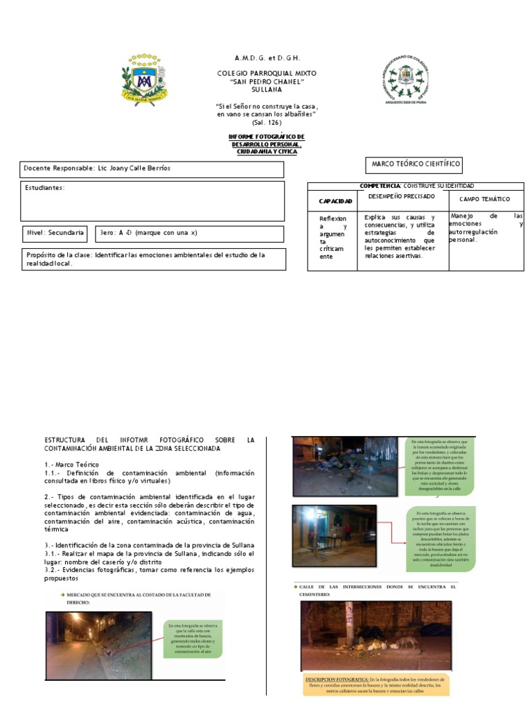 Modelo de Informe Fotográfico | Descargar gratis PDF | Cognición