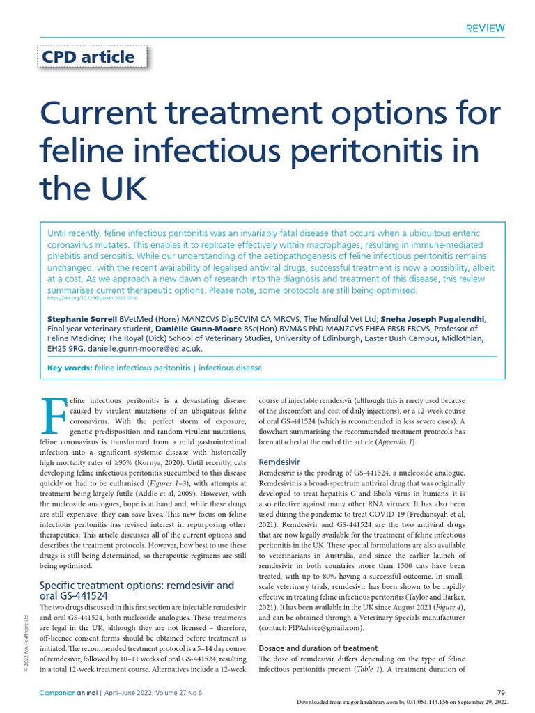 Current Treatment Options For Feline Infectious Peritonitis FIP in The ...